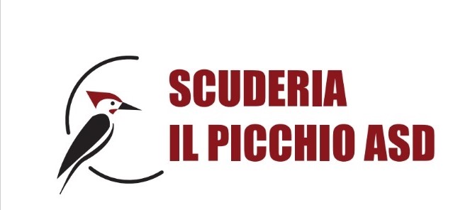 per gli ORATORI - scuderia il picchio