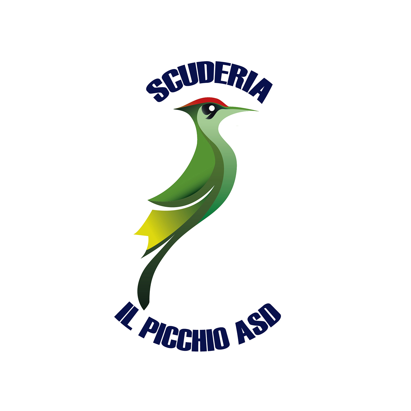 per gli ORATORI - scuderia il picchio